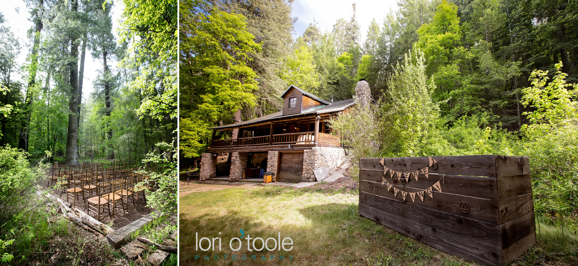 Lisette and Bryan + Mt Lemmon Wedding + Arizona Mountain Wedding ...